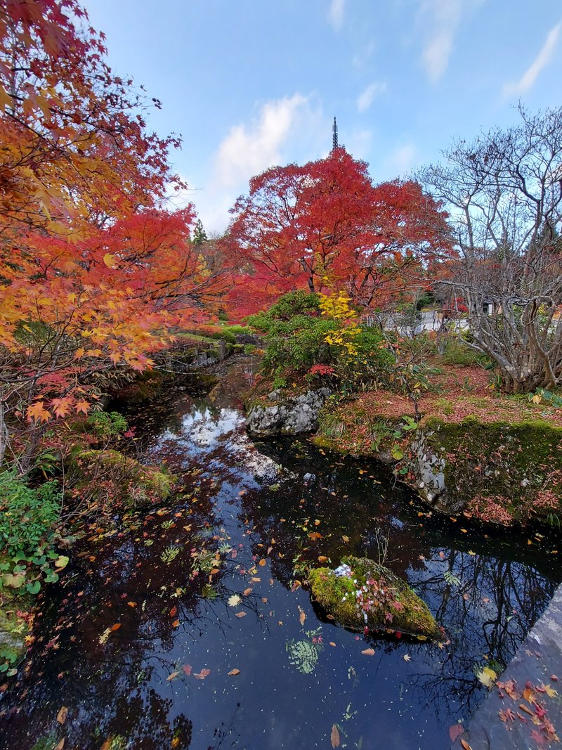 定義山（定義如来西方寺）｜YAS｜note