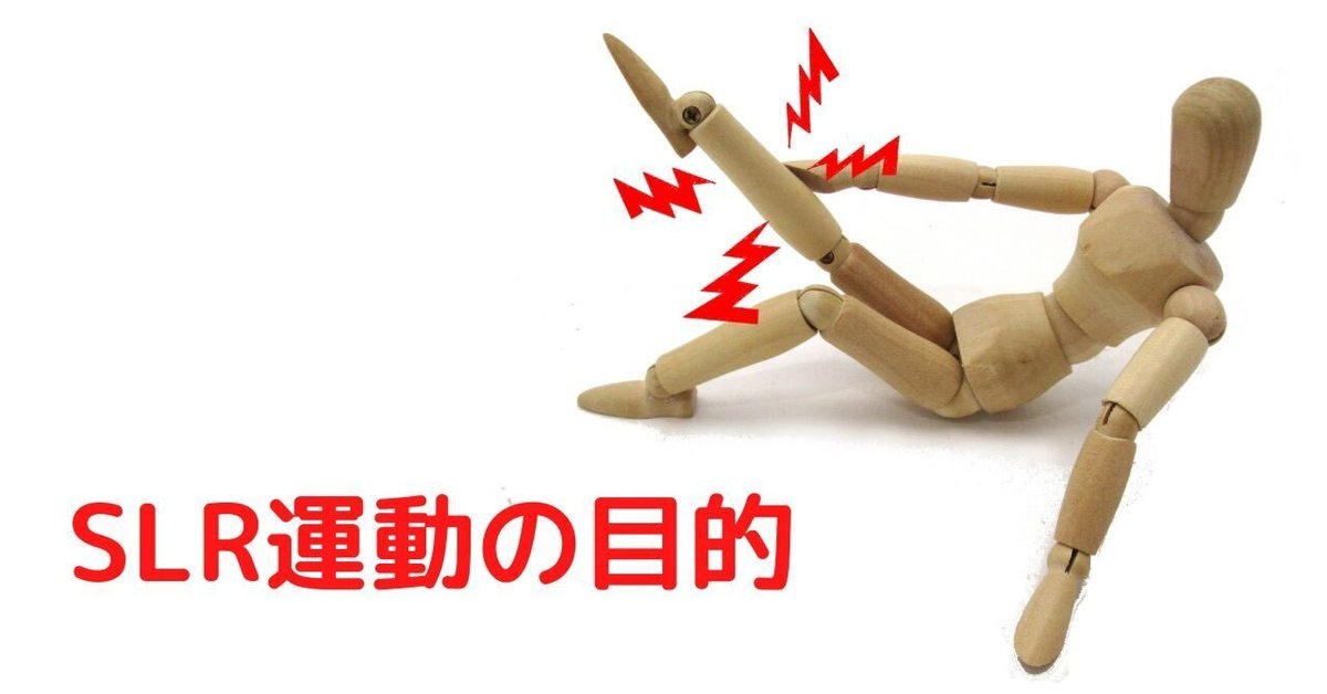 SLR運動を再考する｜かっしー＠理学療法士note