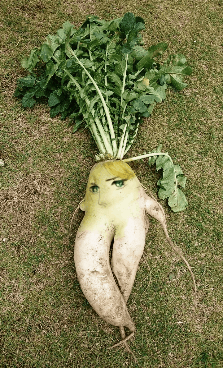 あけましておめでとうございます｜akkiy☆｜note