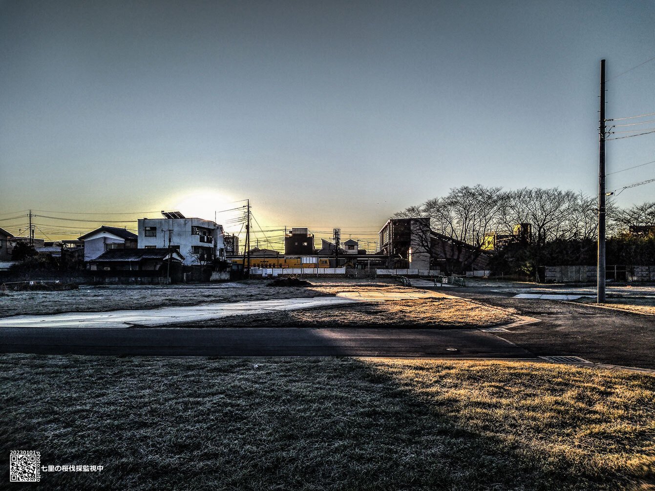 20230101。元旦。日曜日。七里の桜。朝は晴れ。（伐採監視中）。｜斉藤よしとも｜note