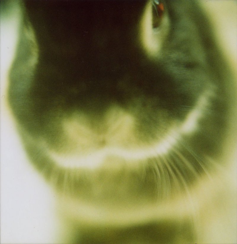 息子に伝えたいこと その40｜naoki｜note