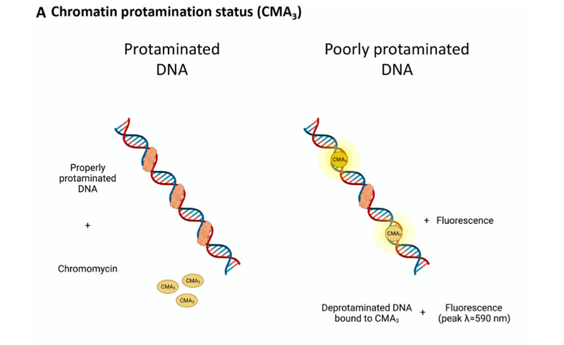 今年読んだ論文- 1｜Teppei Takeshima, MD, Andrologist