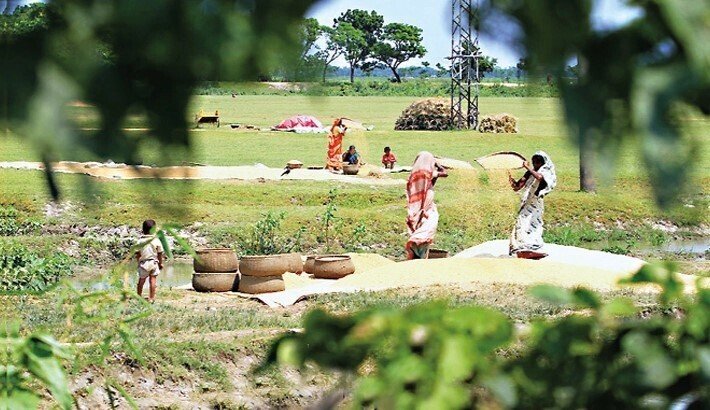 新米祭り (Nobanno Utshob)｜JBCEA｜note