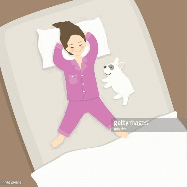 おやすみ前に聴きたい音楽🎶🎶 #邦楽編 #PART2｜negomasa｜note