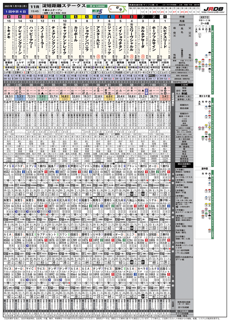 1/9（月）中京11R 淀短距離S 赤木の予想｜JRDB 競馬アラカルト