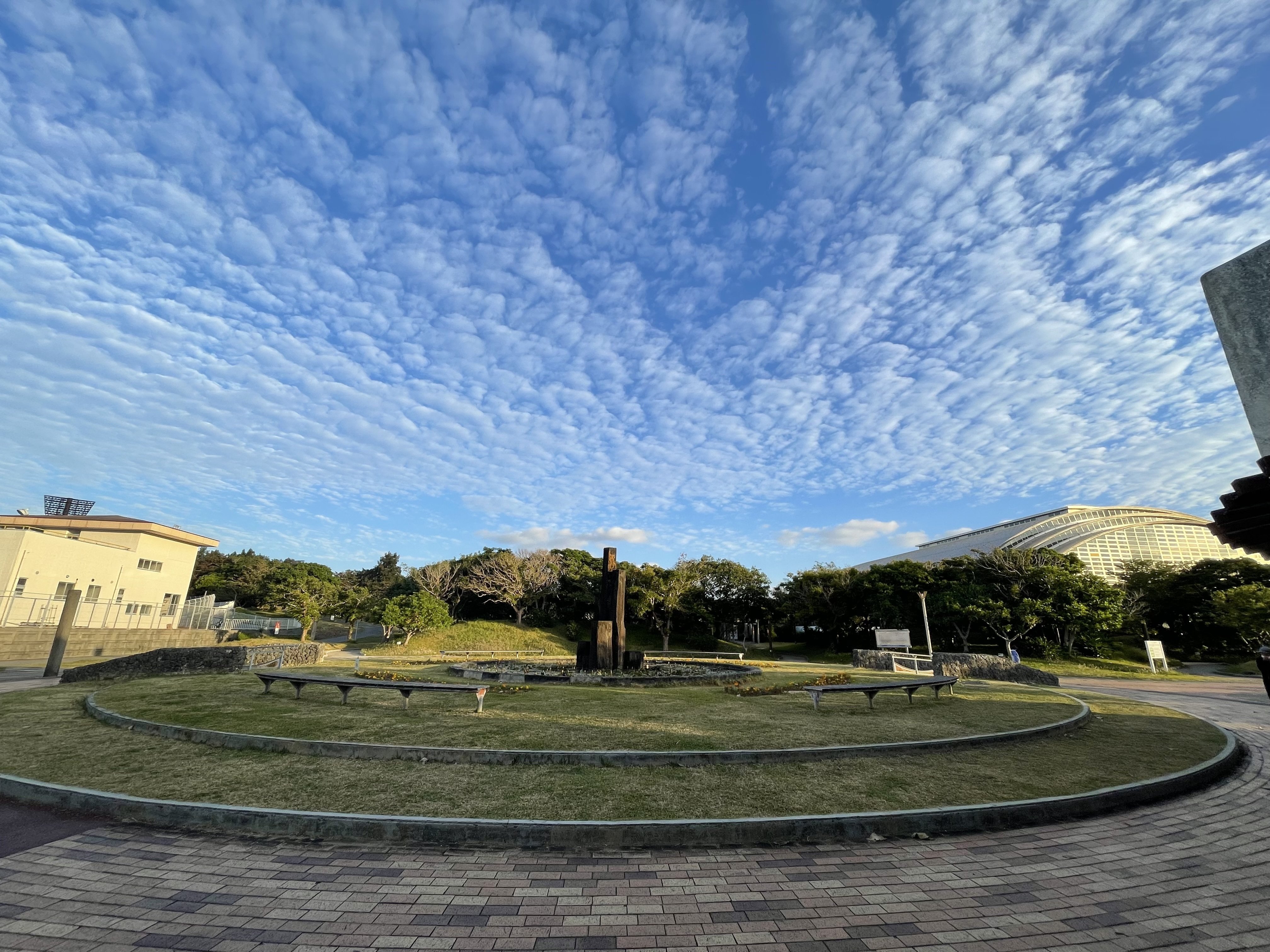 朝の公園｜38gi.ryu｜note