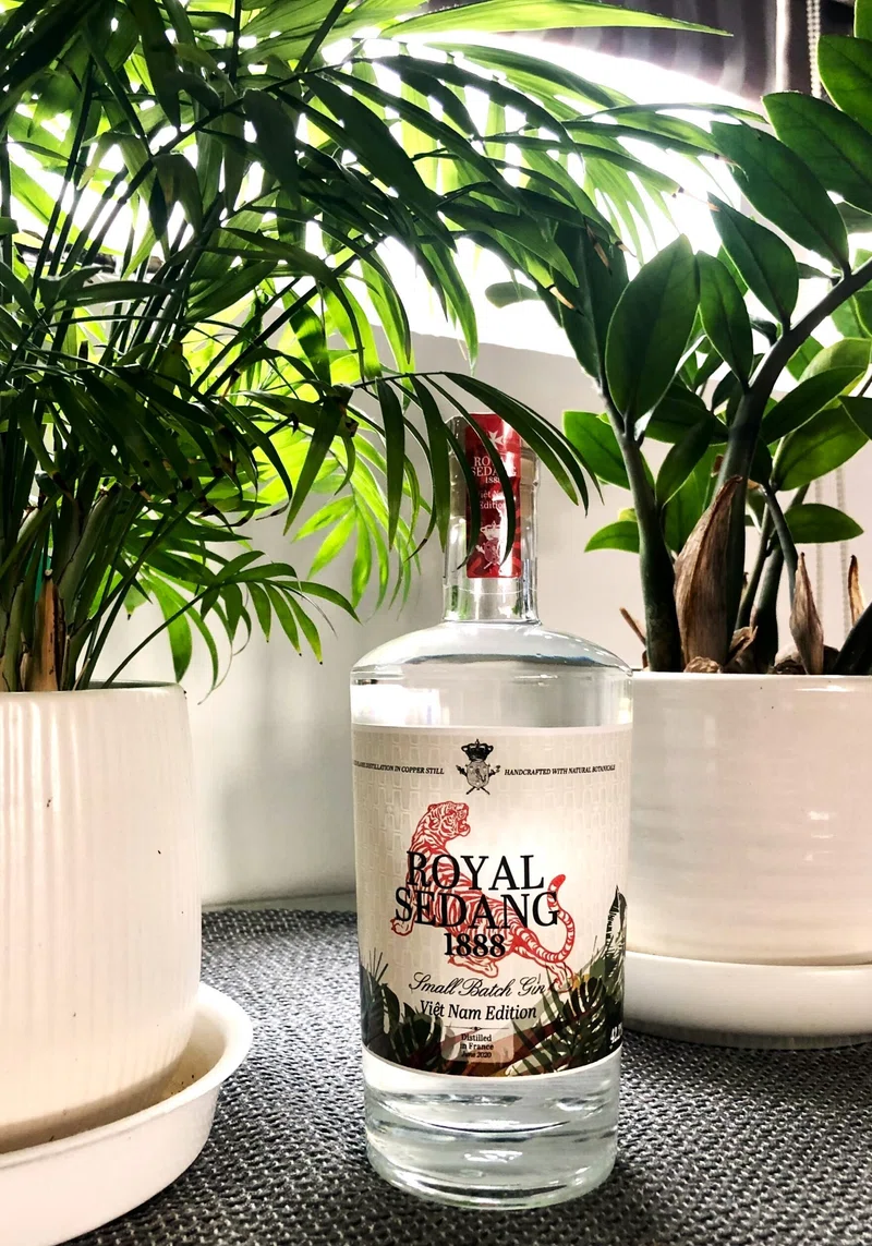 酒でビリビリの日々／『ROYAL SEDANG 1888/Small Batch Gin/Viet Nam Edition』｜白瘤象三／散歩画家