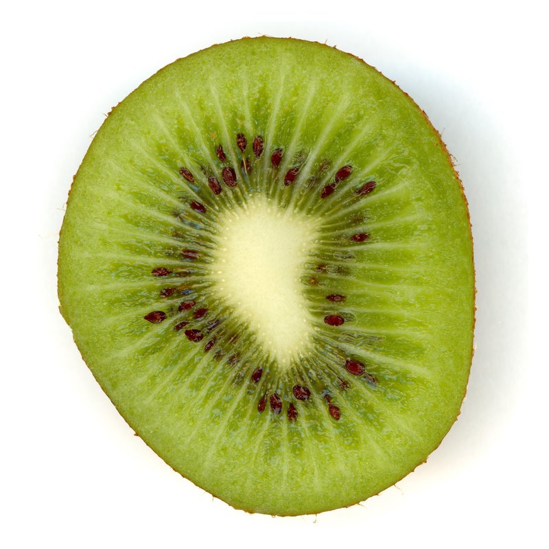 生活の観察-制作記録-7｜202号室 - TAMAOKI Jun｜note