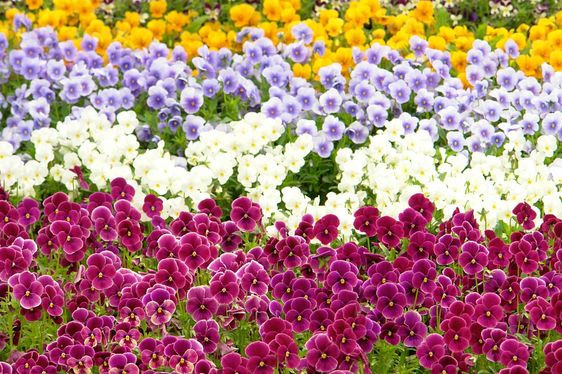 2010年の北海道｜team_ueno