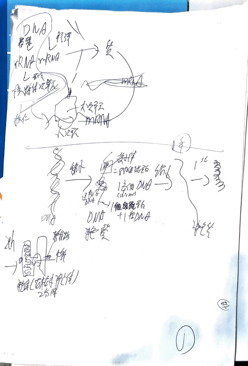 【直筆ノート】共通テスト勉強時に書いた生物のノート｜Mintson