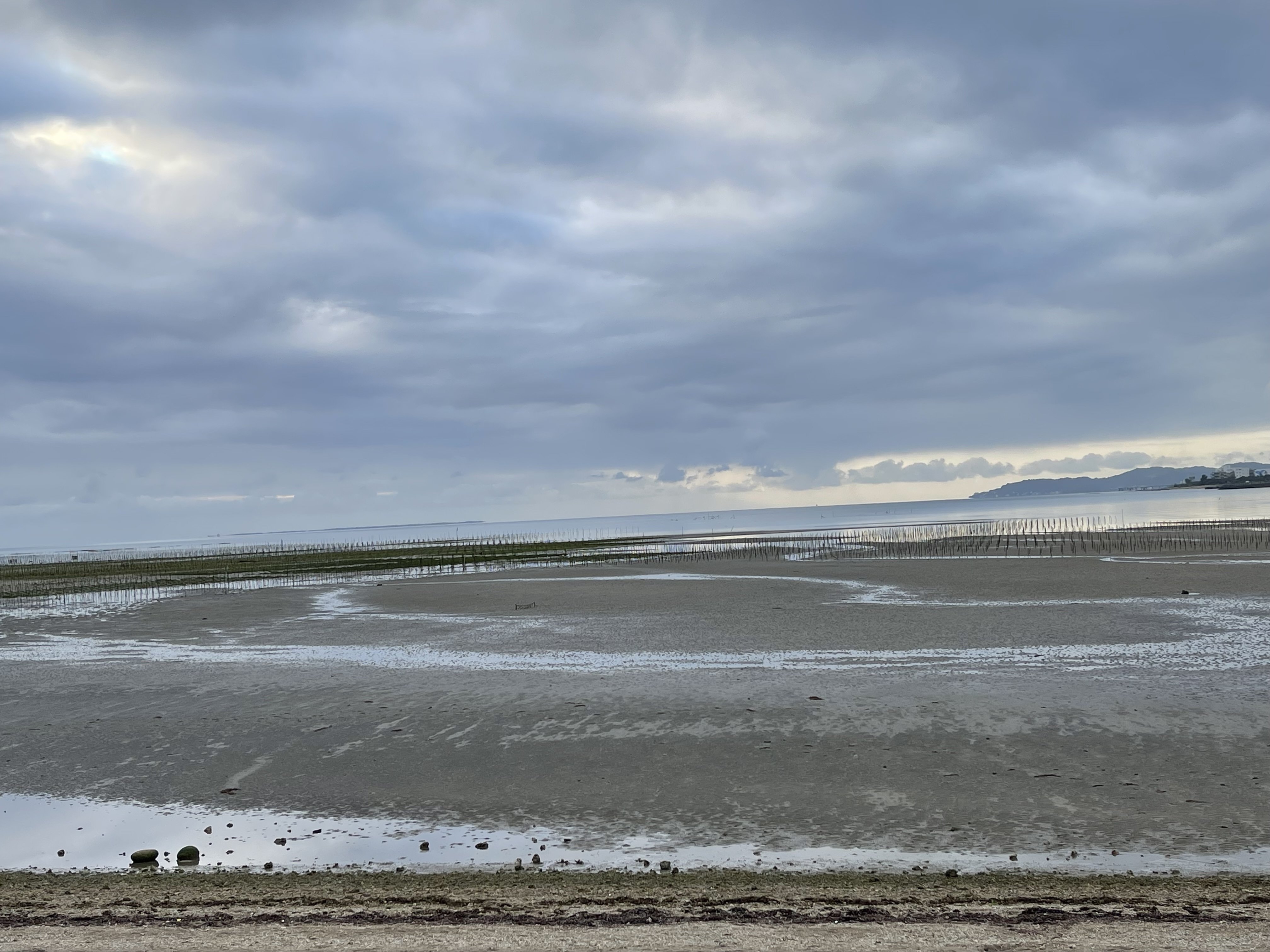 朝の海と花｜38gi.ryu
