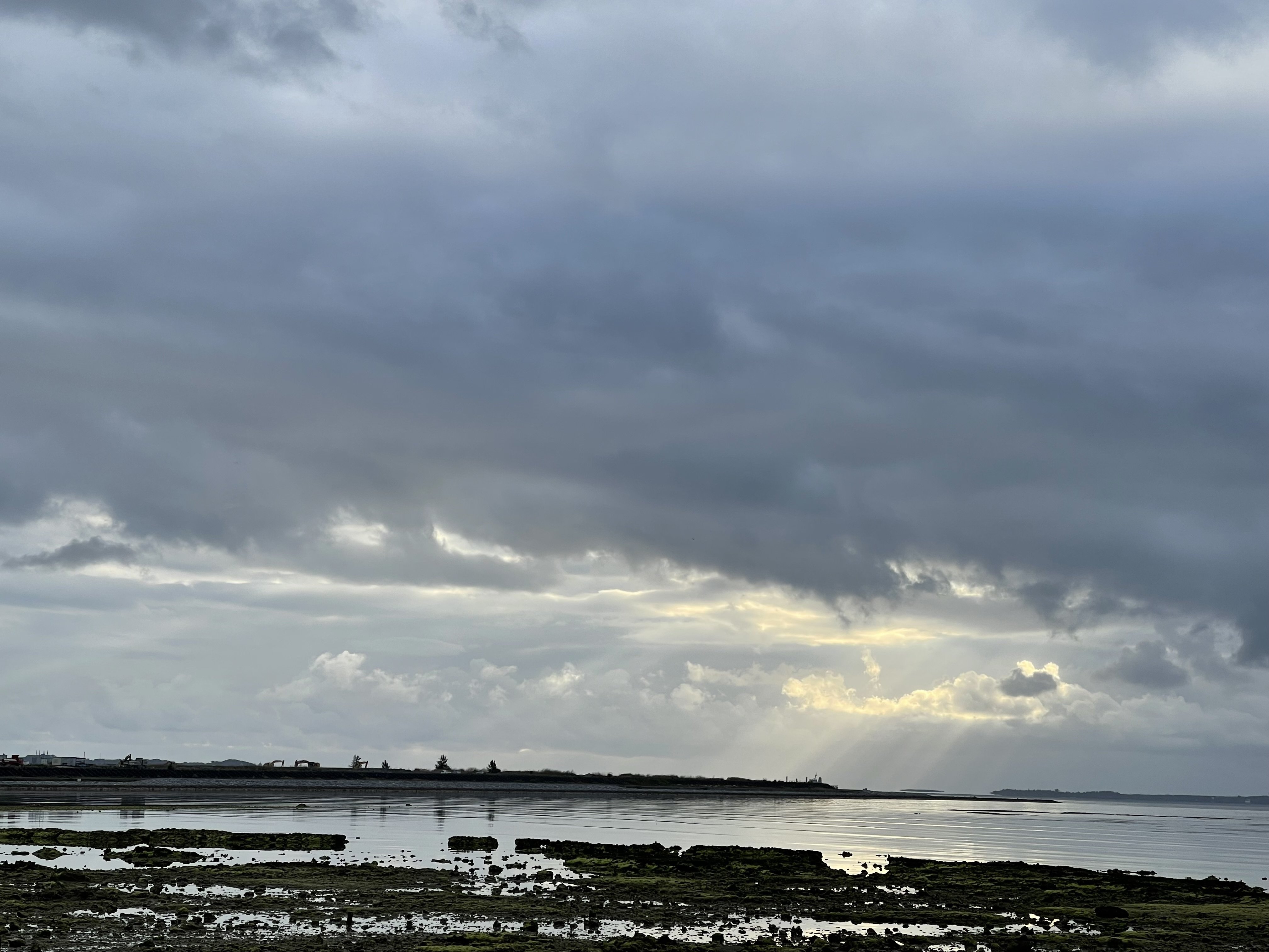 朝の海と花｜38gi.ryu