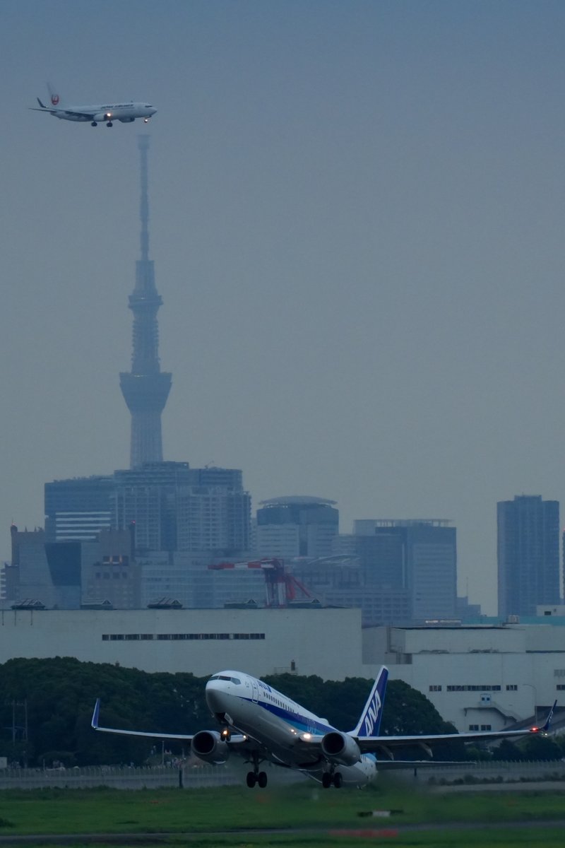 はじめての投稿、初めての撮影｜sora_jii｜note