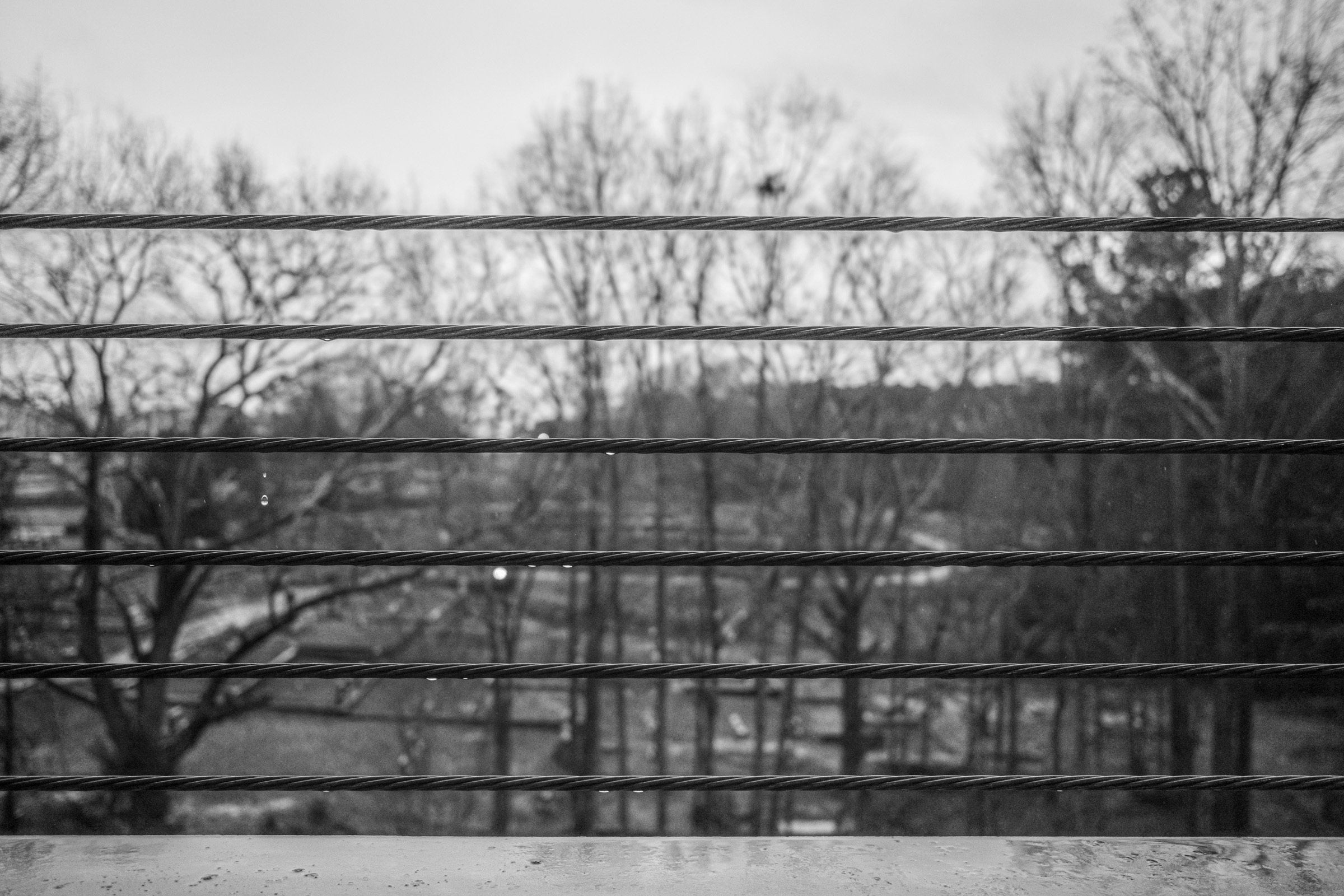 雨の日＜LEICAM10-P＞｜MOJA MOJA｜note