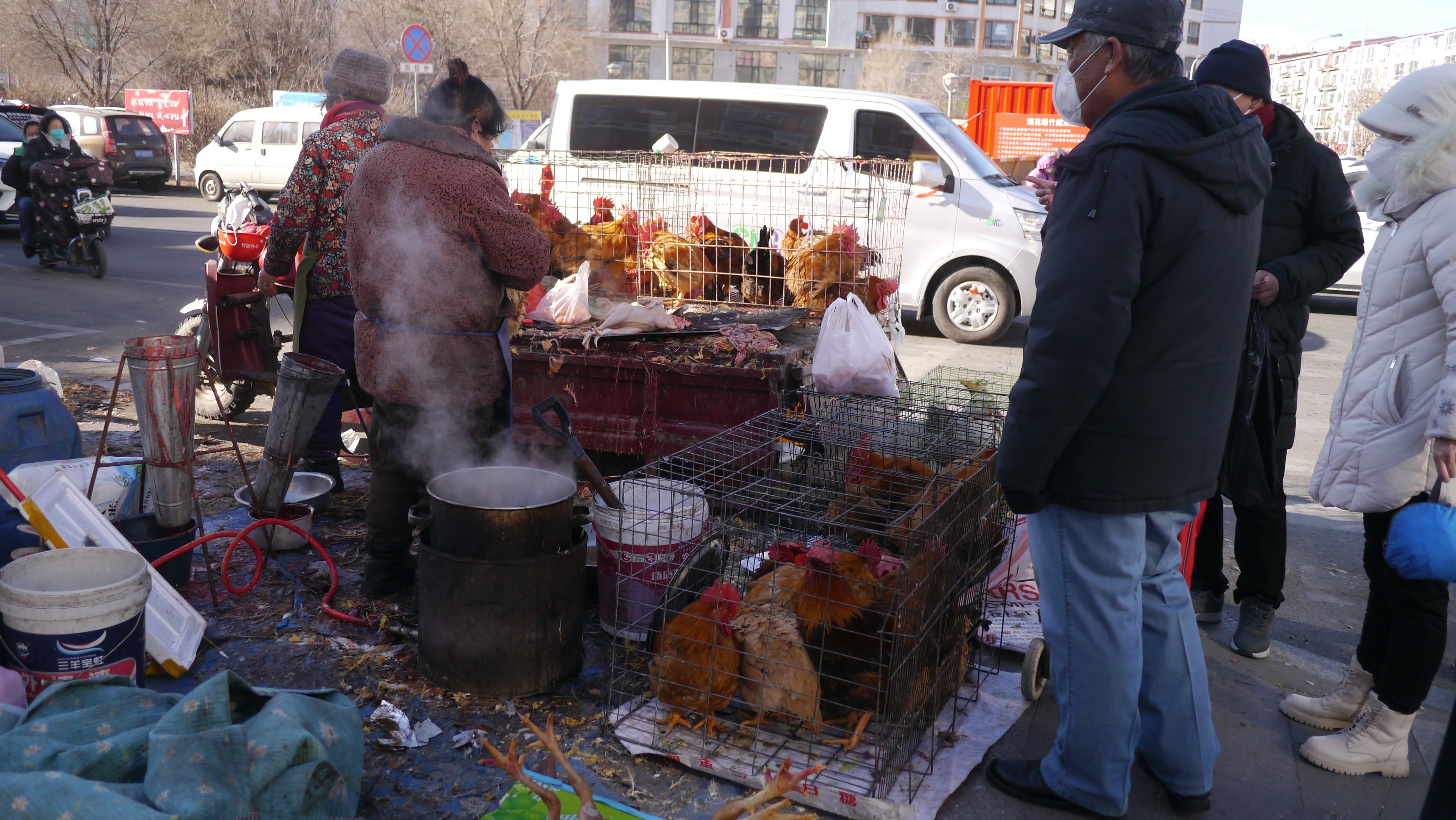 春節準備｜Meguru Ishida｜note