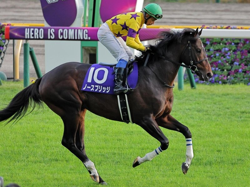 【アメリカJCC（G2）】～予想篇｜Haya｜note