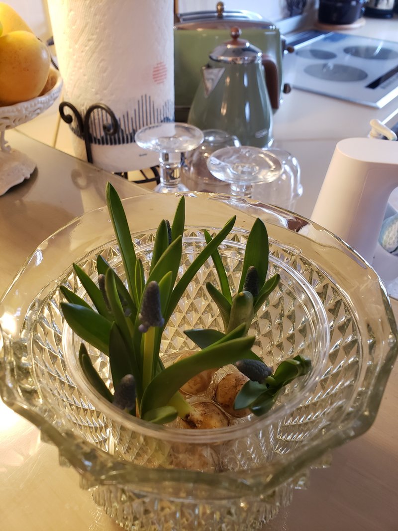 ささやかな楽しみ。。🥺💘｜madamhiroko｜note