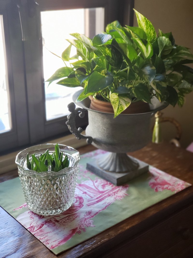 ささやかな楽しみ。。🥺💘｜madamhiroko｜note