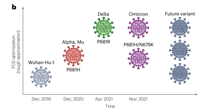 SARS-CoV-2 バリアントの生物学: 免疫逃避、感染、および適応度｜カイン｜note