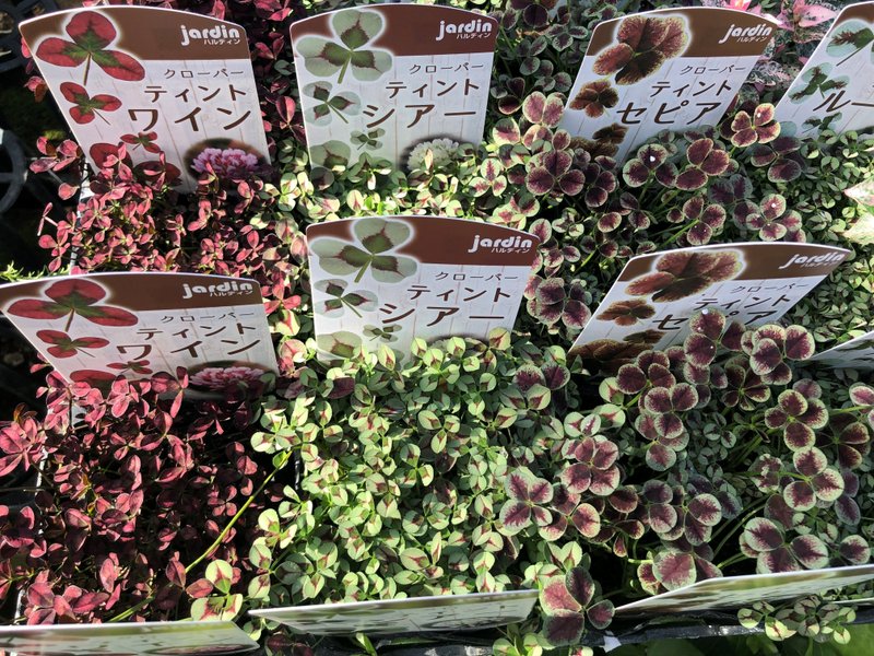 今日の1枚（2023/1/22）｜Chikako｜note