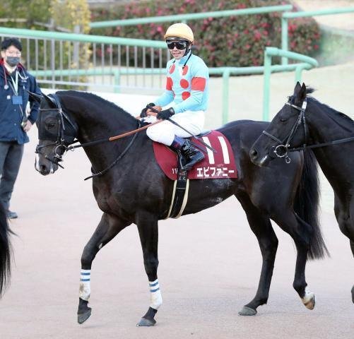 【アメリカJCC（G2）回顧】ブラボー!!｜Haya