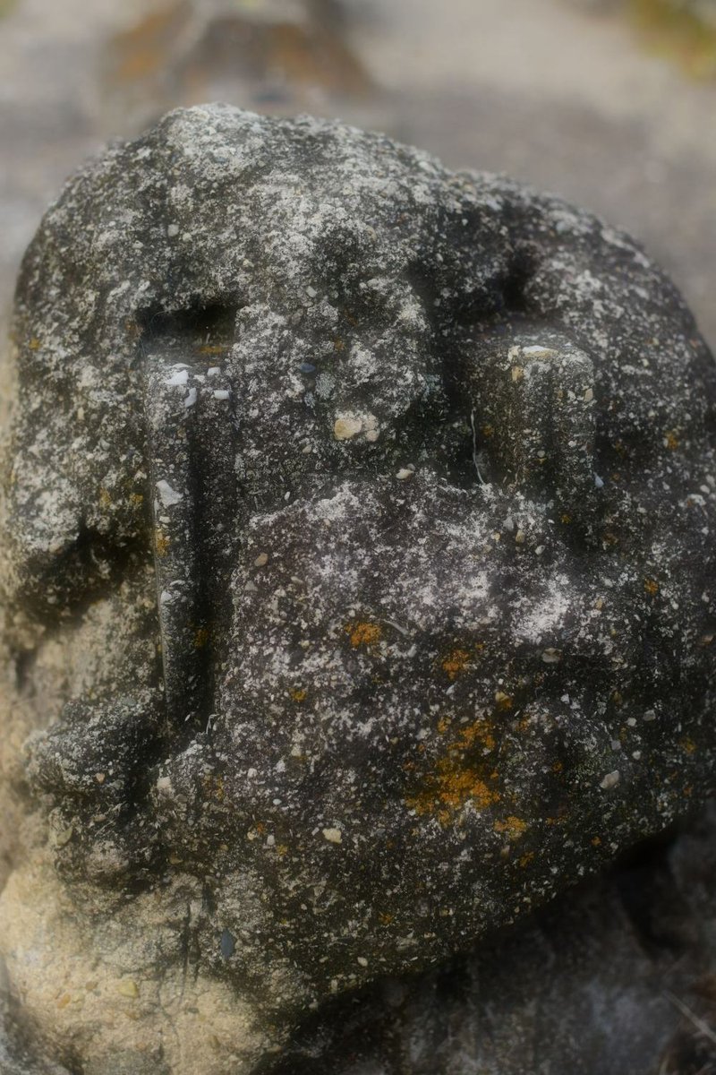 ニコンもあった｜takahiro mori｜note