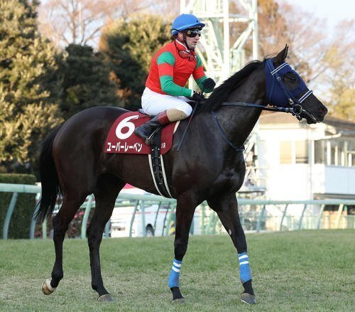 【アメリカJCC（G2）回顧】血統篇｜Haya