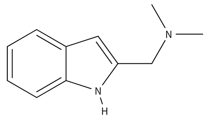 局所麻酔薬の話Ⅲ~リドカイン~｜緒方琉