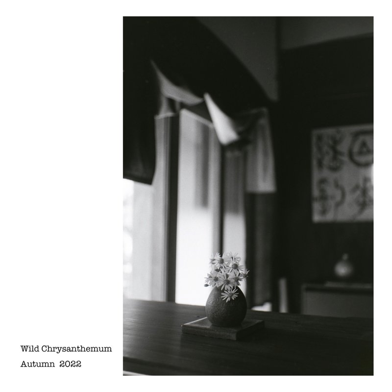 モノクロフィルムで綴る冬の記録｜季節花人 | Shoko Kondo｜note