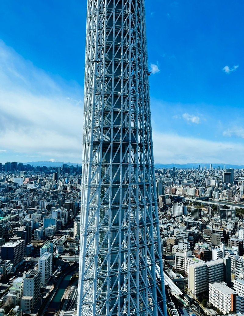 体も心も満たされたランチ会｜−25kgやせた看護師のファスティングのある暮らし| Tomoe｜note