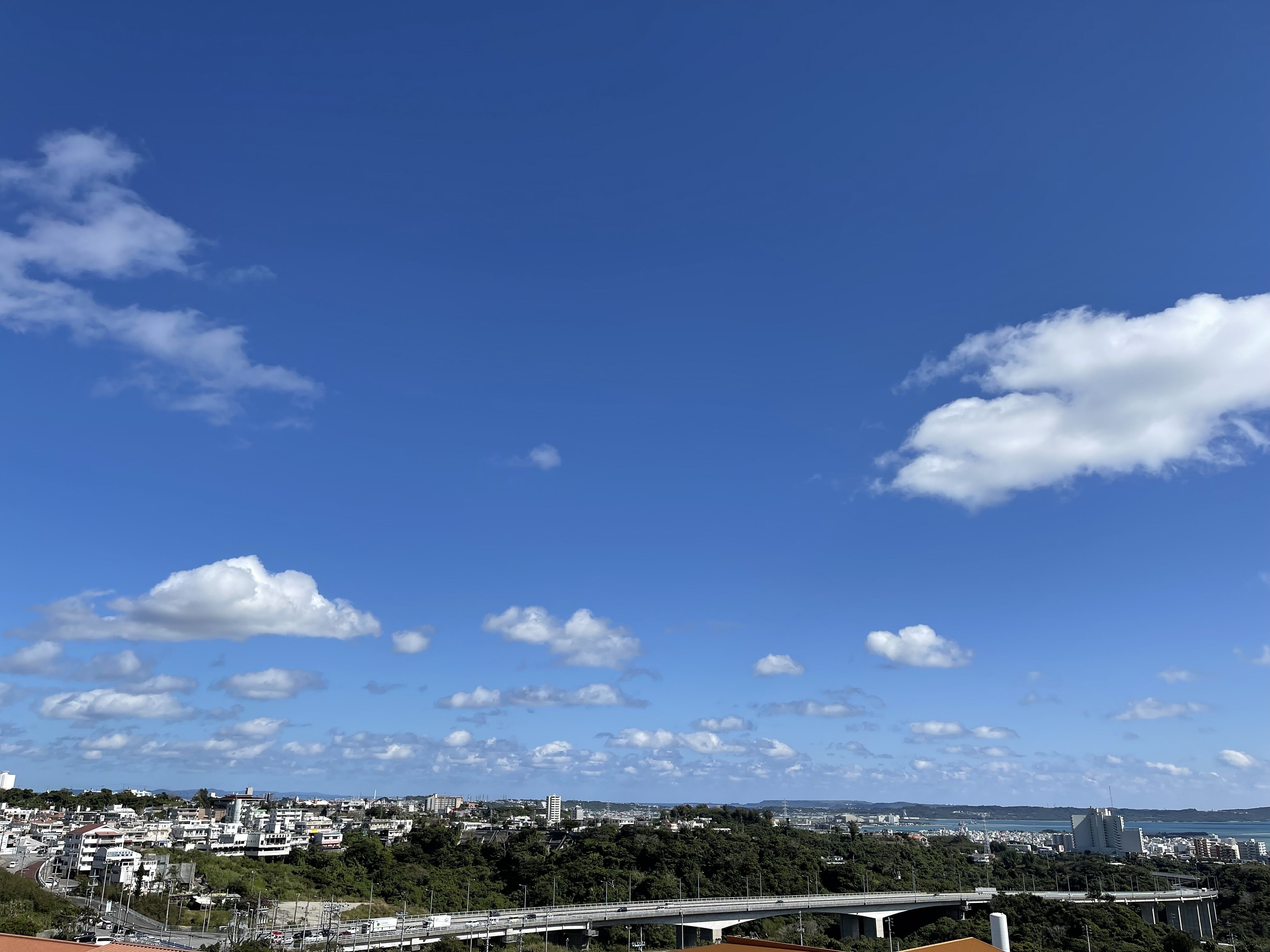 ライカムウォーキング118日目｜38gi.ryu｜note