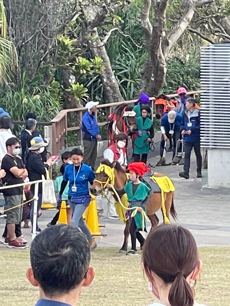20230122 ンマハラシー（沖縄こどもの国）｜前田海香子