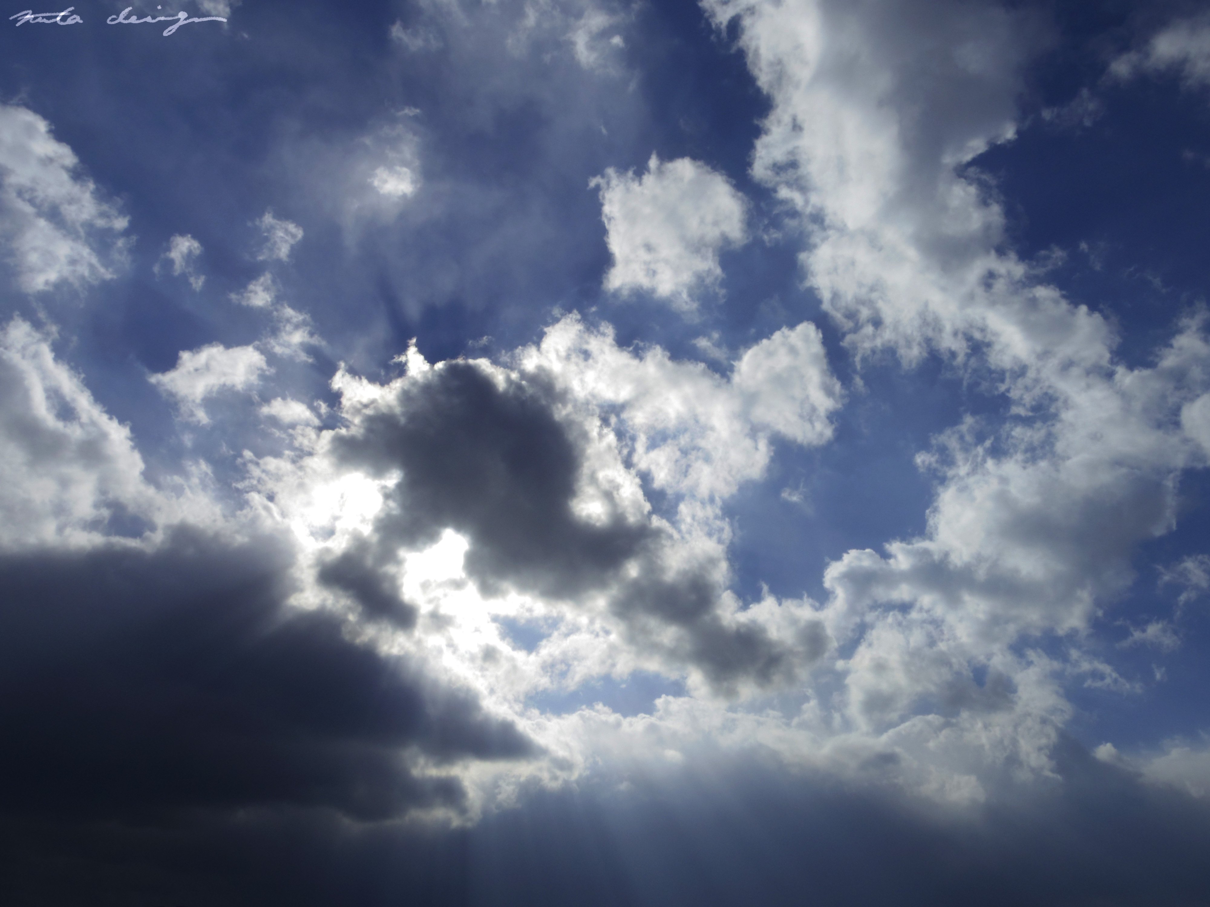 強風のせいかな？｜nuta design｜note