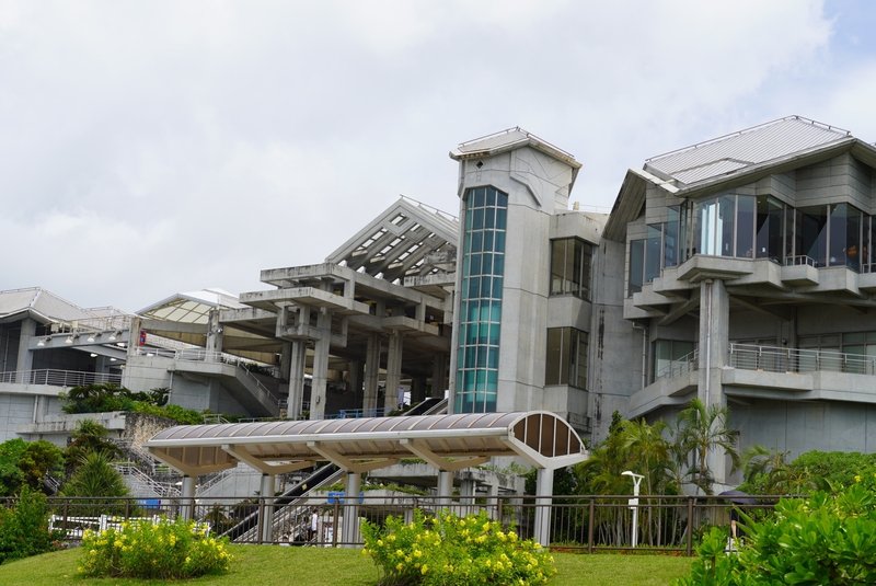 腹側の剛毛で育てた微生物を食べるカニ｜chino｜note