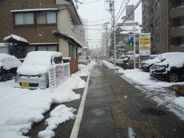 記録的な寒波の襲来｜koichi sugihara