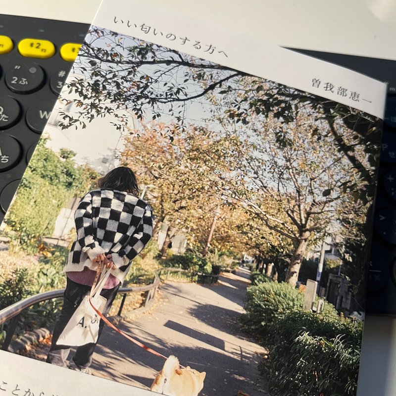 2023年 1月31日｜Tatsuki Kitahara｜note