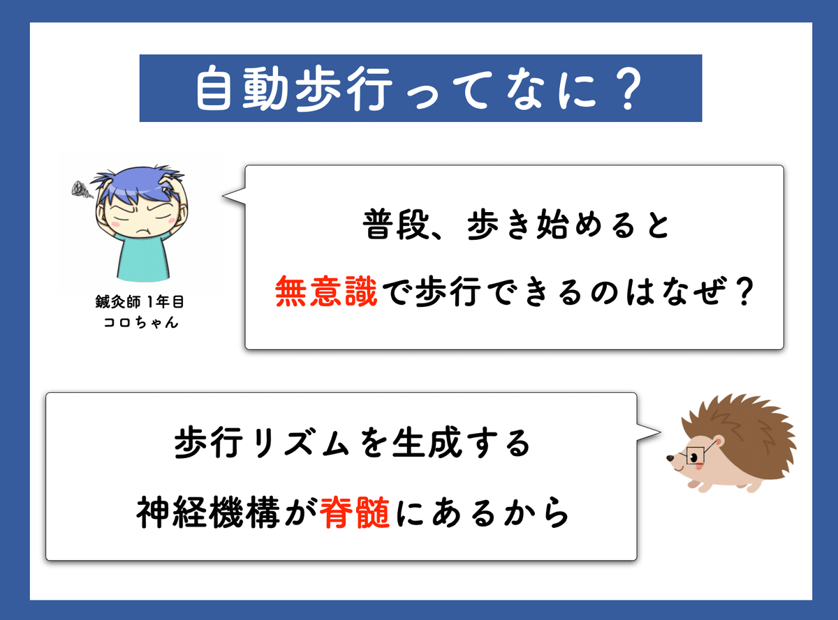 【HAMT】脳卒中の動作介助 「歩行介助の実践編」｜櫛引翔太 鍼灸師 × 脳卒中認定PT