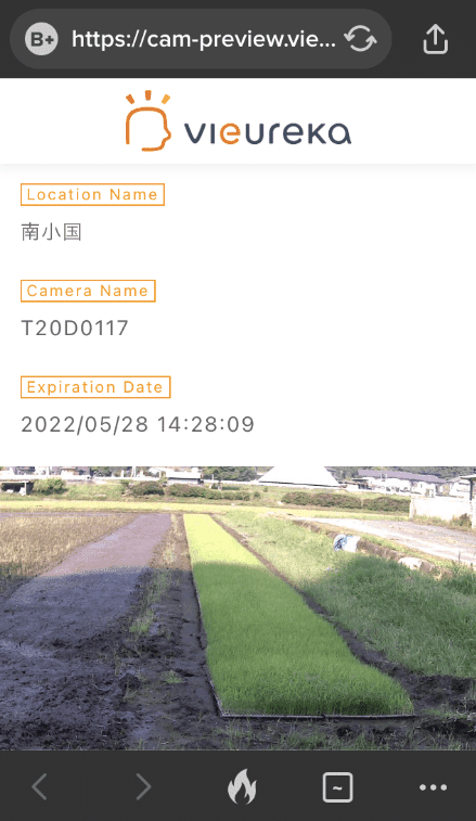 ね、カメラちゃん、何を見てるの？ （2206） - 田んぼでAiを試してみた。｜南小国町地域おこし協力隊Nathalie