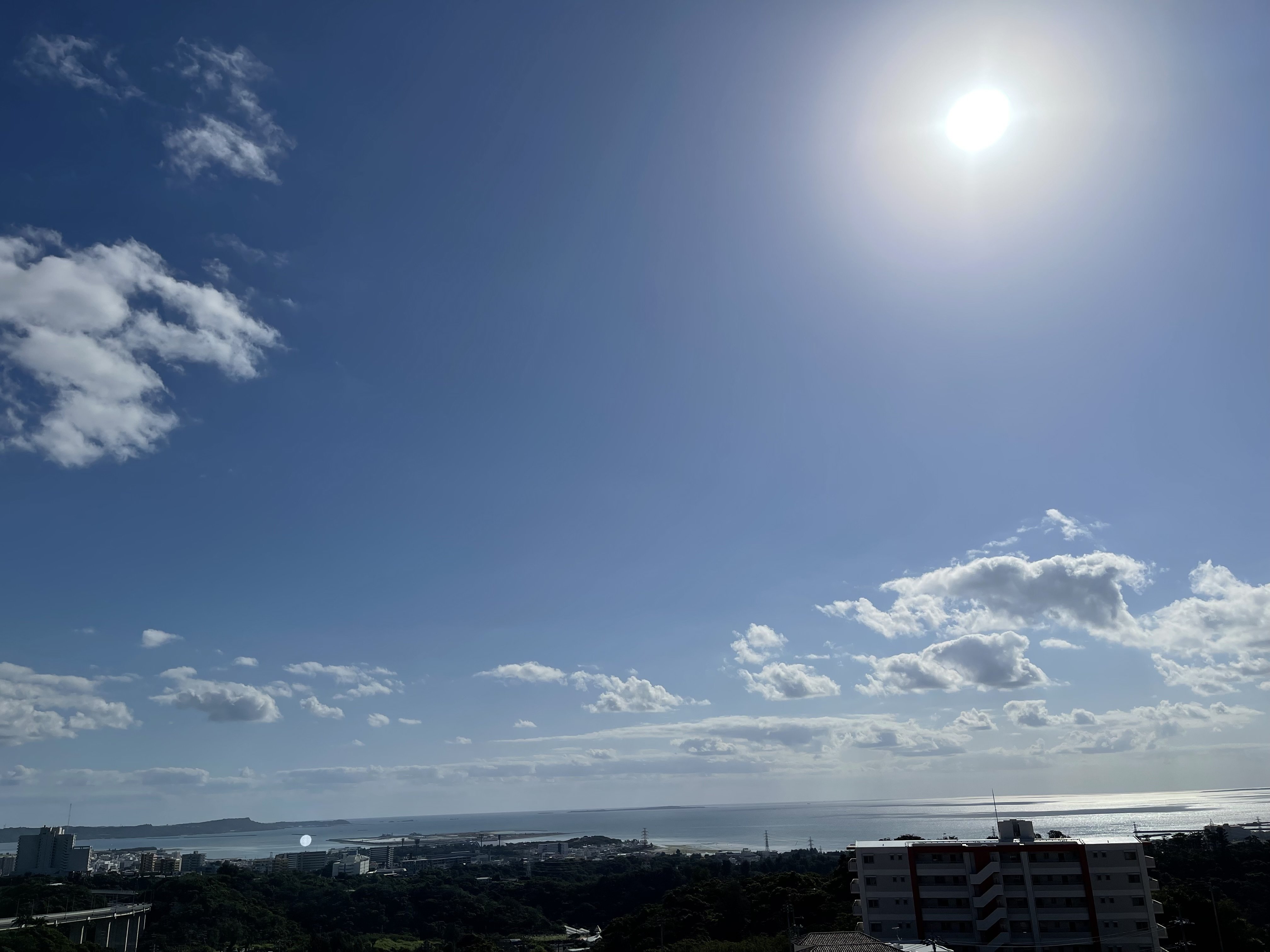 ライカムウォーキング124日目｜38gi.ryu｜note