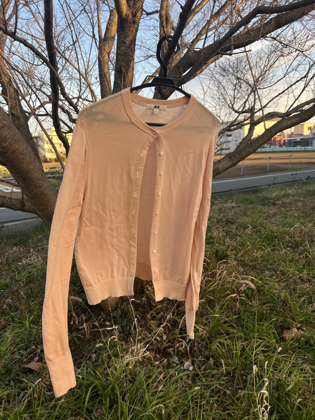 椿と山茶花の花びら染め♪｜reiko