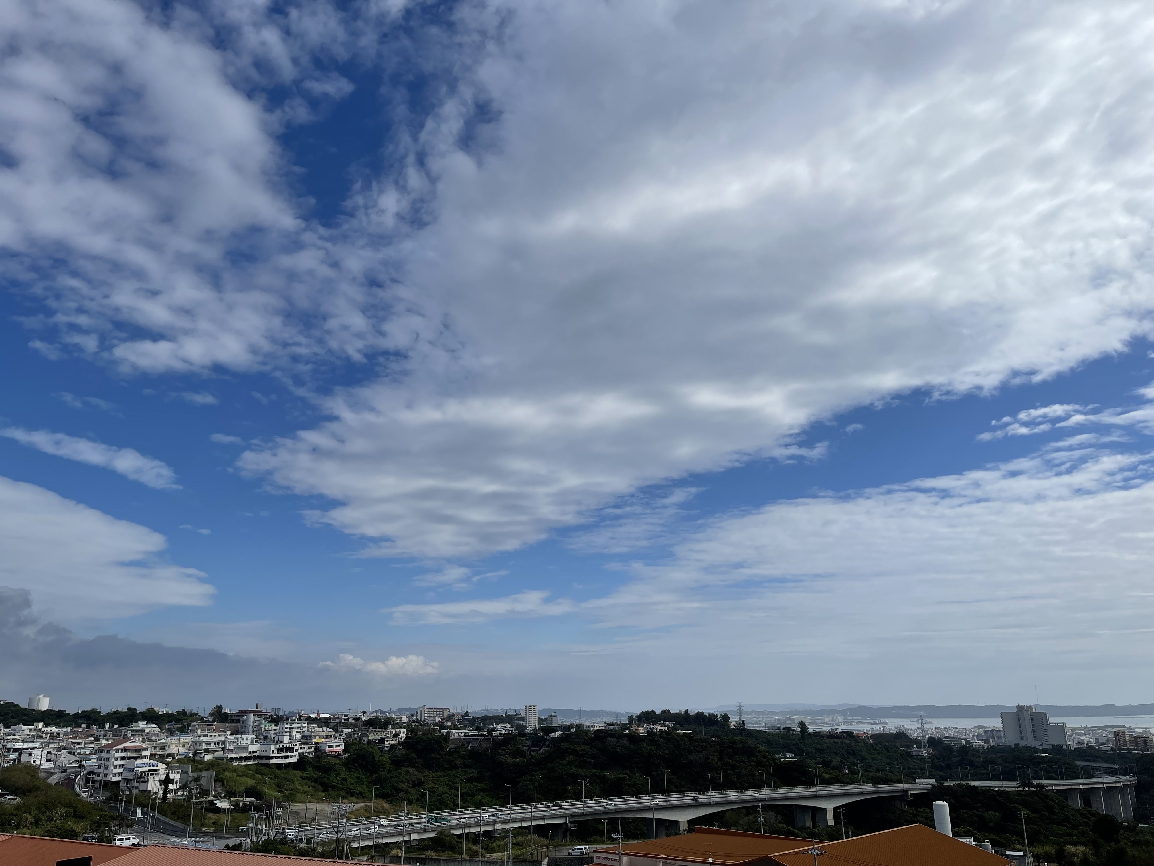 ライカムウォーキング125日目｜38gi.ryu