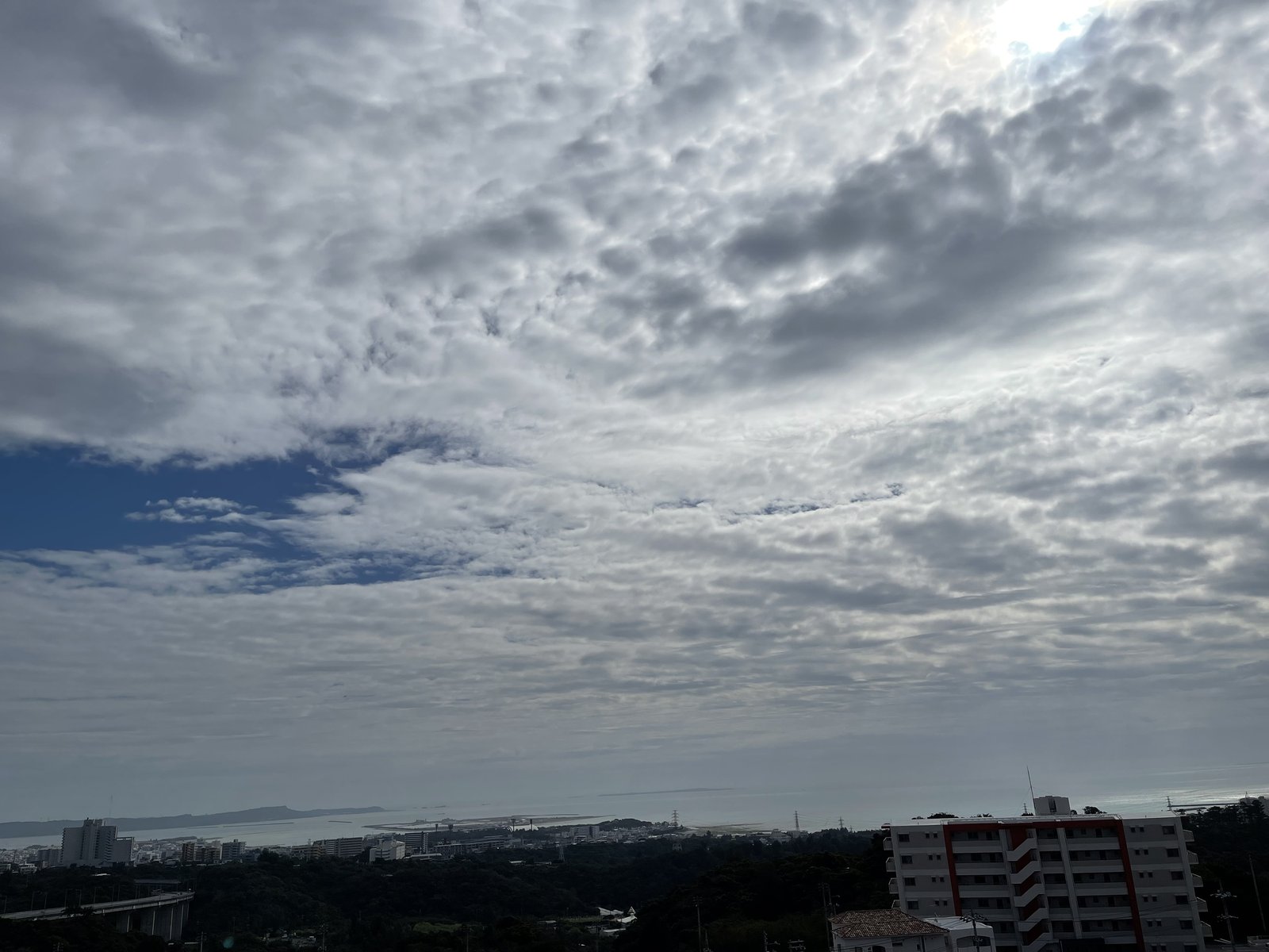 ライカムウォーキング125日目｜38gi.ryu