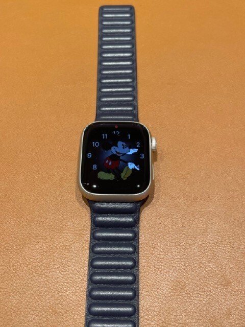 一人旅行の帰り道にアップルウォッチを買いました｜neji bit｜note