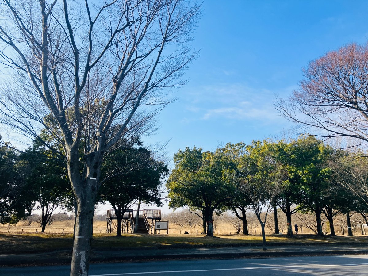 仏の笑顔でCQを叫ぶ鬼 #20230204｜SUUA-SAN