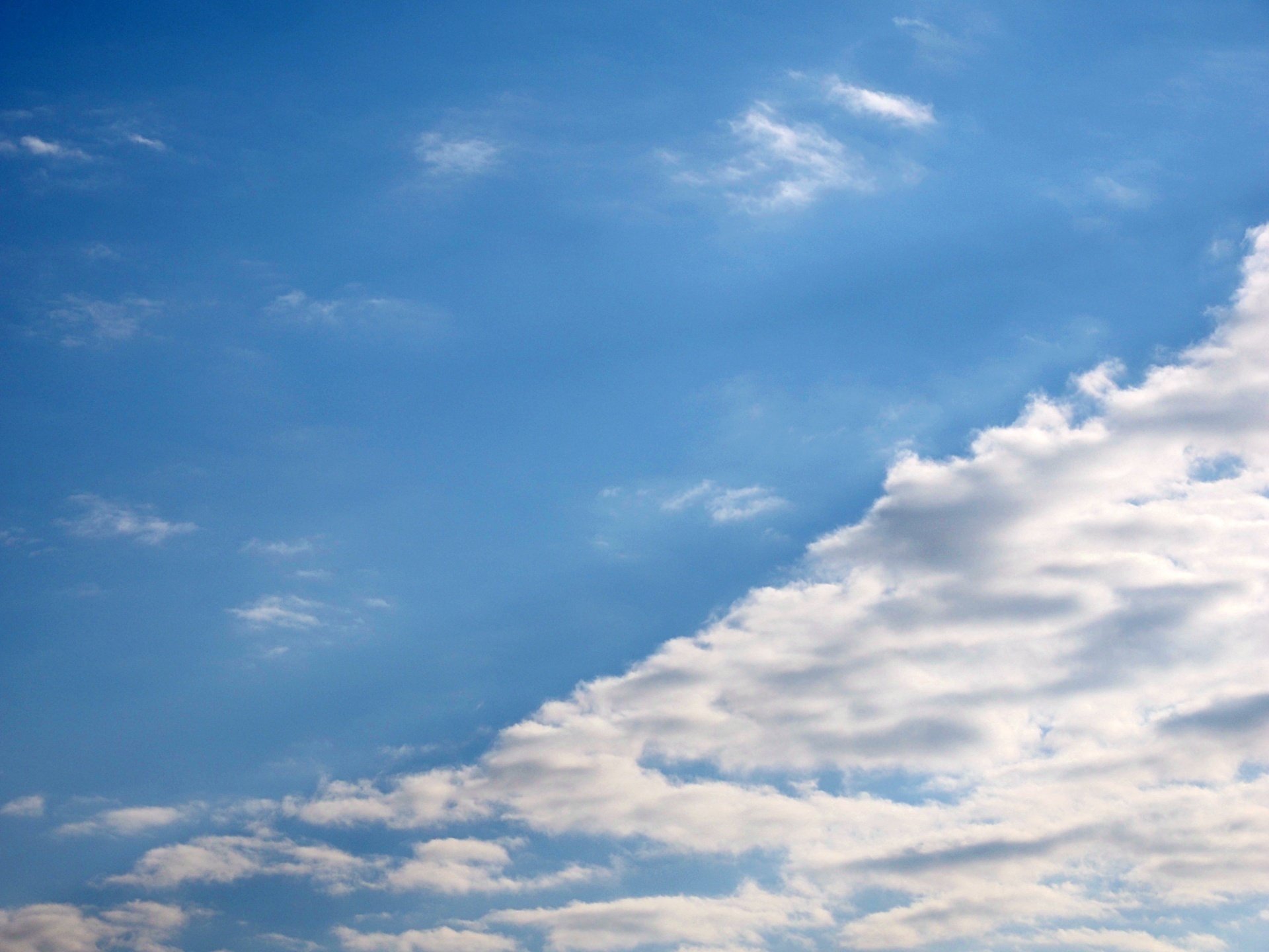 2023-02-04の写真｜team_ueno