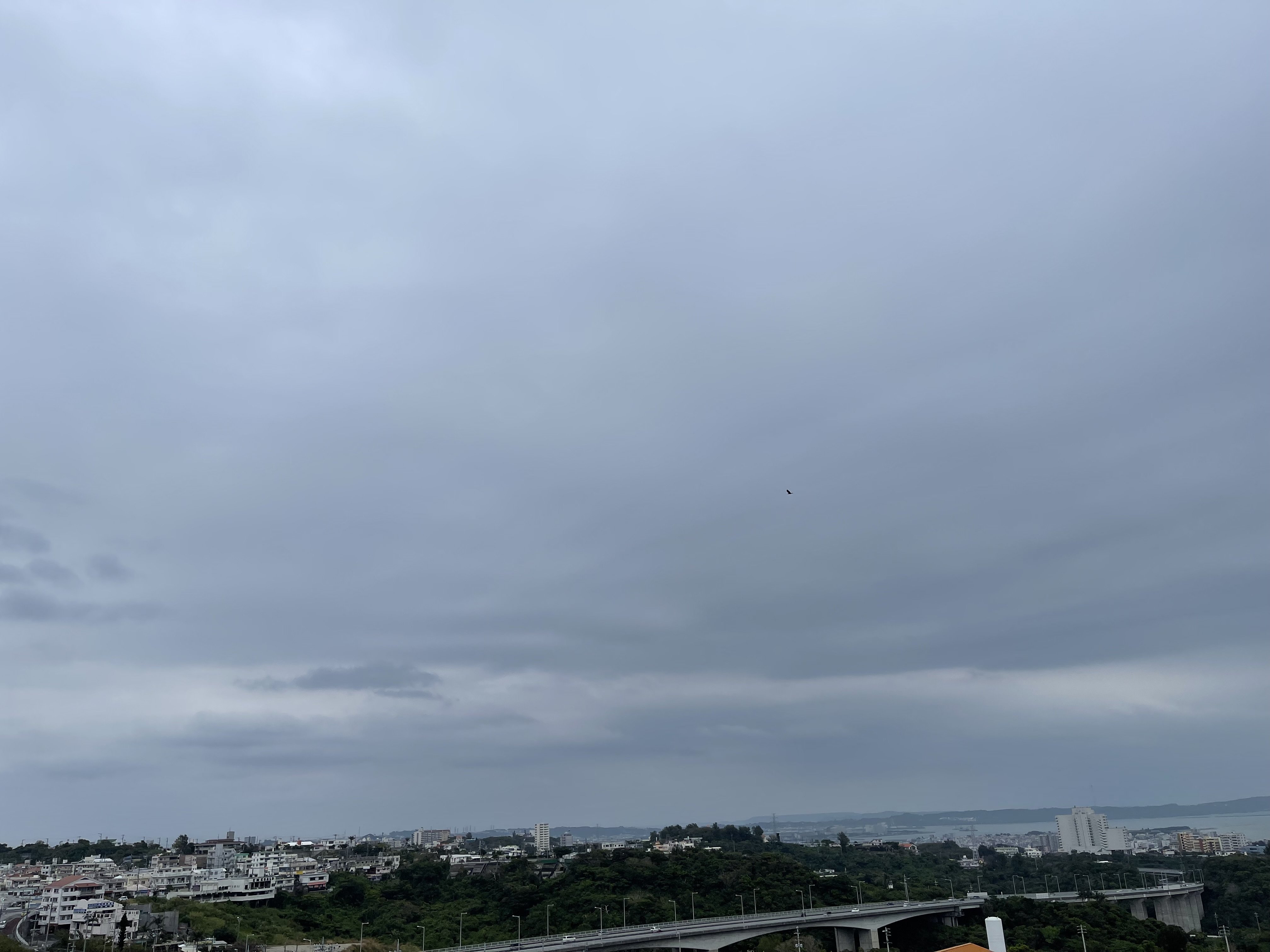 ライカムウォーキング128日目｜38gi.ryu