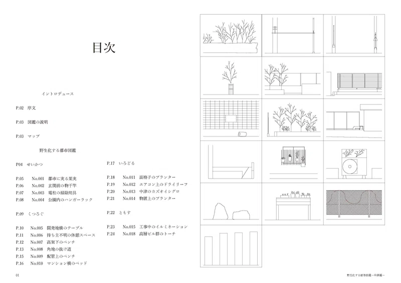 野生化する都市図鑑｜佐藤 倫太郎 / Rintaro Sato｜note