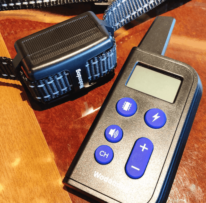 電気の首輪｜YURI｜note