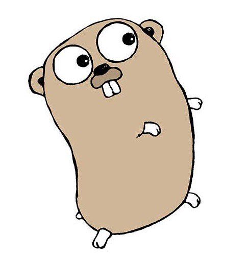 Gopherくん（再）入門｜kogu｜note