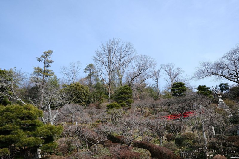 X－T5でピクセルシフトマルチショット（続編）｜やまたく